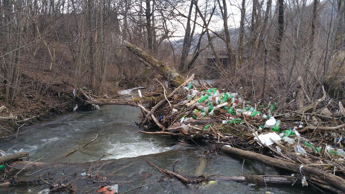 Je čistejšia rieka Rimava alebo Muráň? Riaditeľ Správy NP Muránska ...