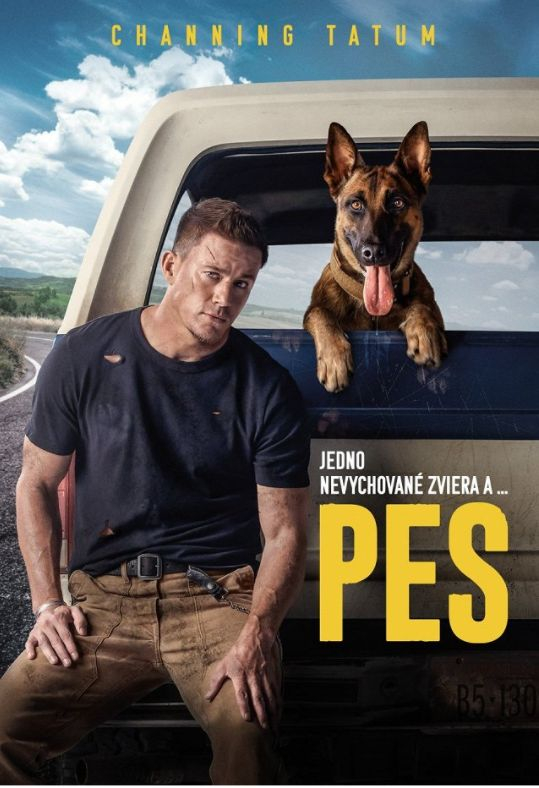 Pes /Dog/ - Rimava.sk - správy - Rimavská Sobota a okolie