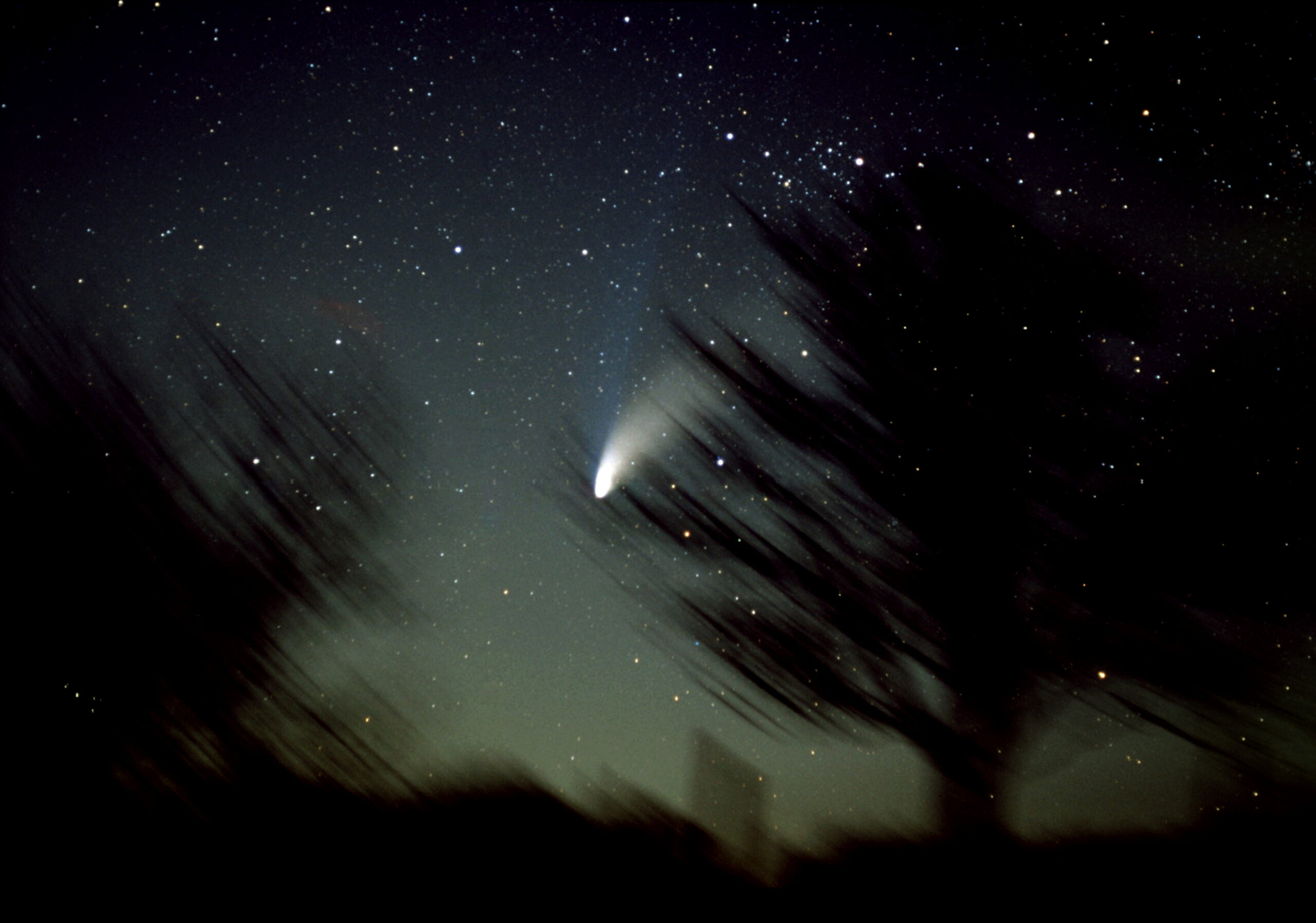 Na Muránskej planine môžete počas leta pozorovať nočnú oblohu v divokej ...